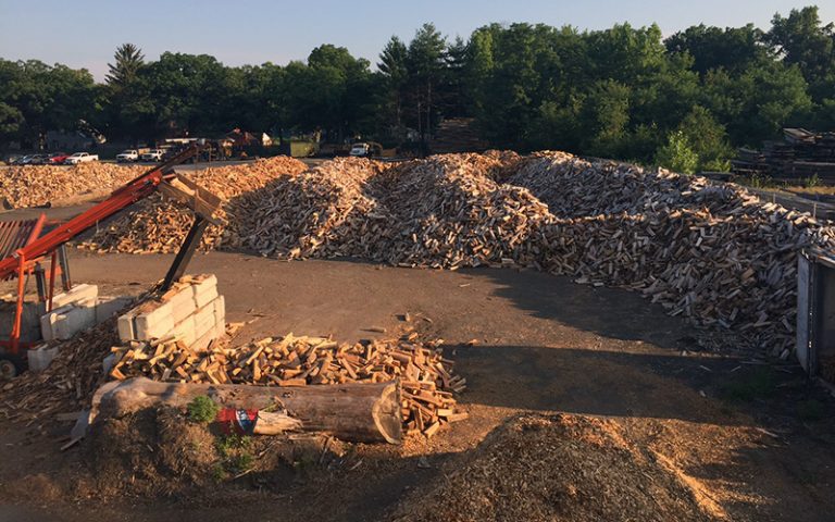 Seasoned Firewood, Springfield MA