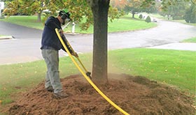 Home - ArborTech Tree Services