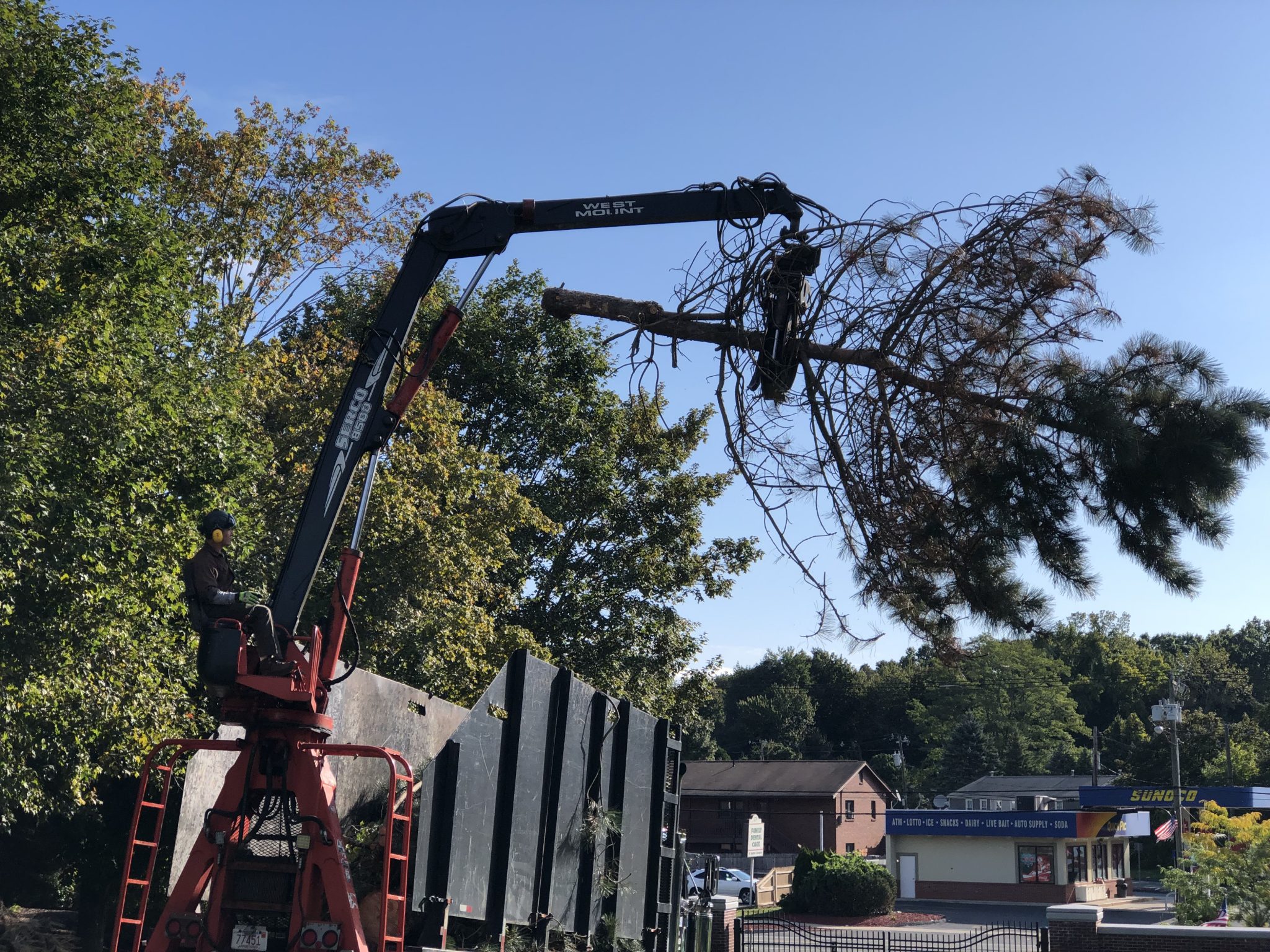 About ArborTech Tree Services - Western MA