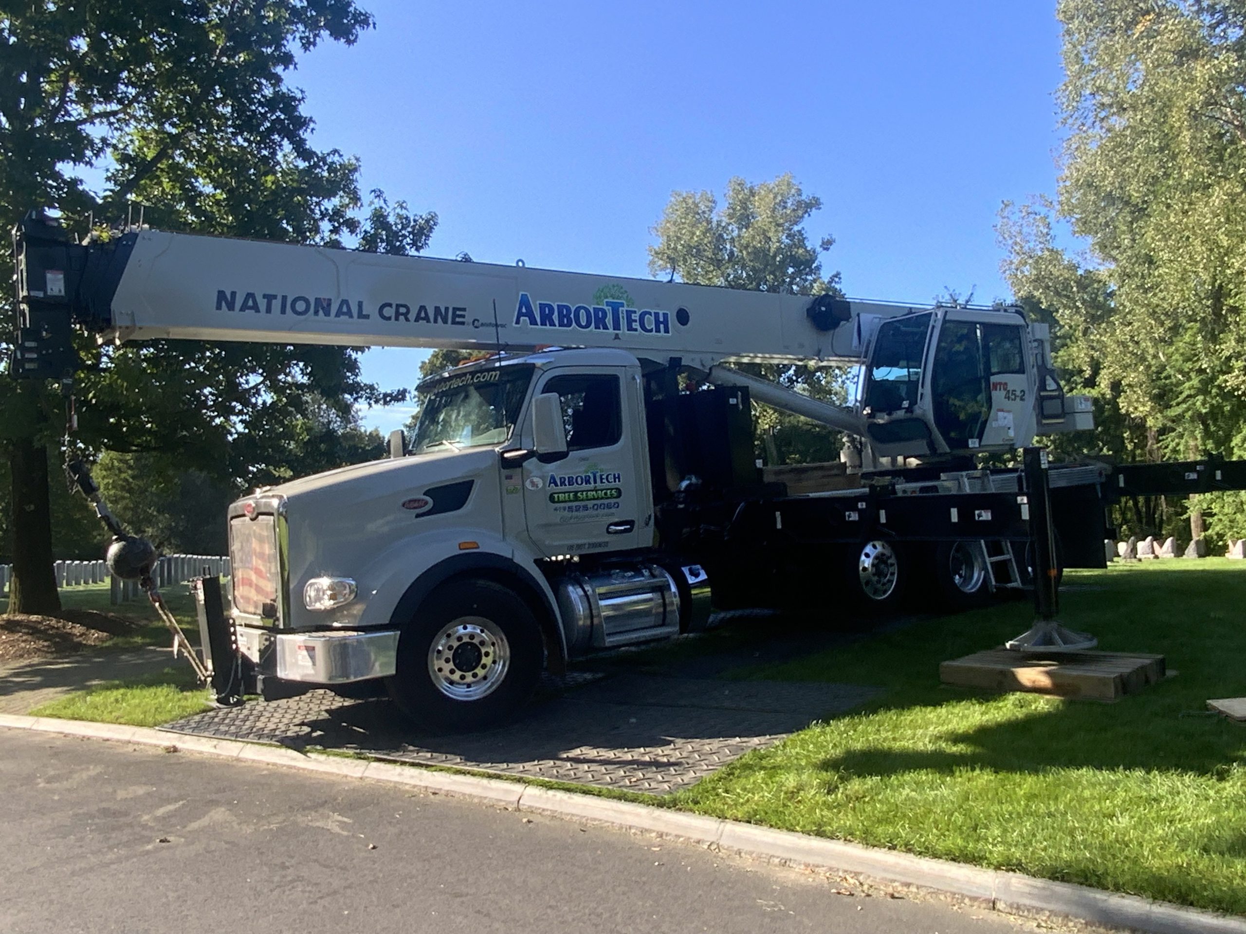 Tree Services Springfield MA