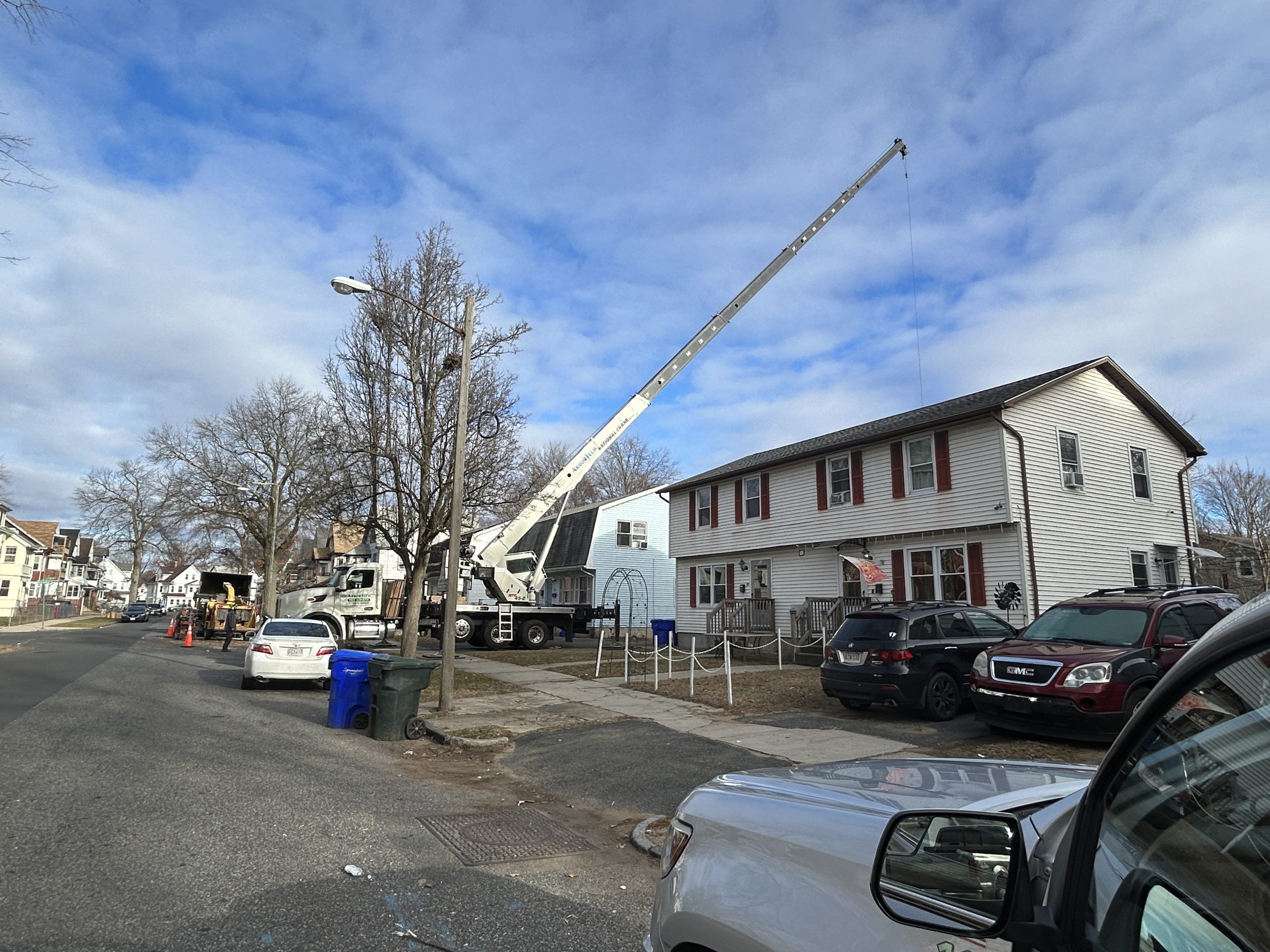 Tree Services Springfield MA