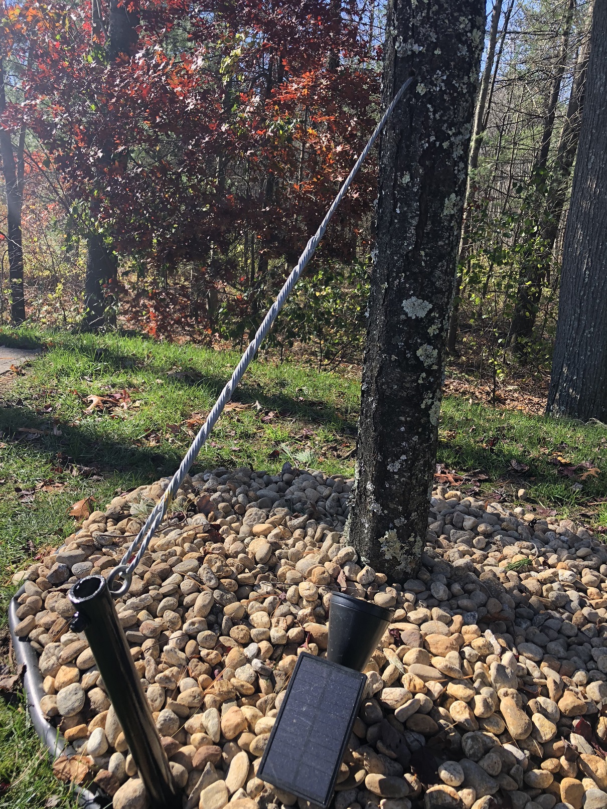 Tree Services Longmeadow MA - ArborTech Tree Services