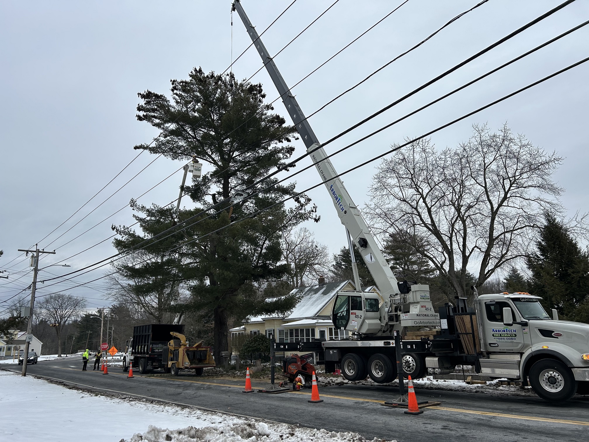 Tree Services Hampden MA - ArborTech Tree Services